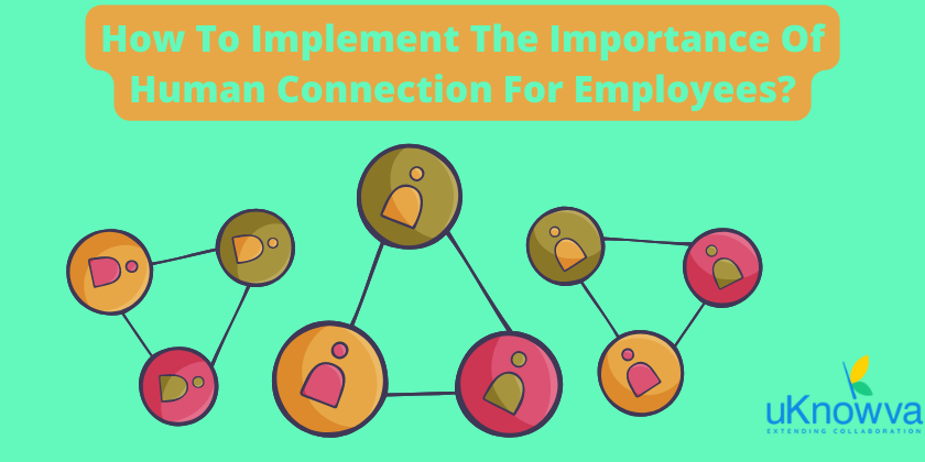 How To Implement The Importance Of Human Connection For Employees?